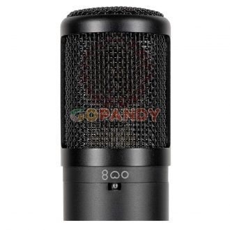 sE Electronics sE2300 Studio Condenser Microphone with Switchable Polar ...